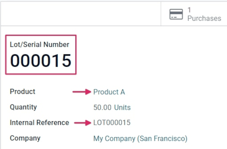 Difference between lots and serial numbers — Odoo 16.0 documentation